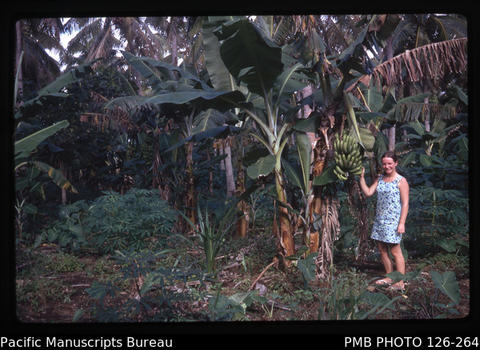 'Tapioca and bananas under coconuts [with Liz Baker], Tonga' - Pacific ...